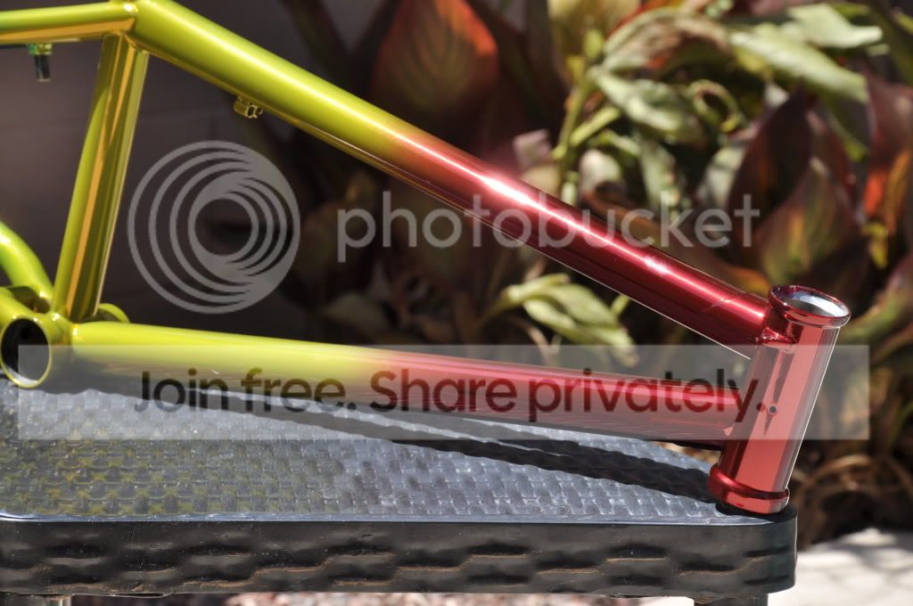 Did a custom finish for a member check it out Rasta style - BMXmuseum ...
