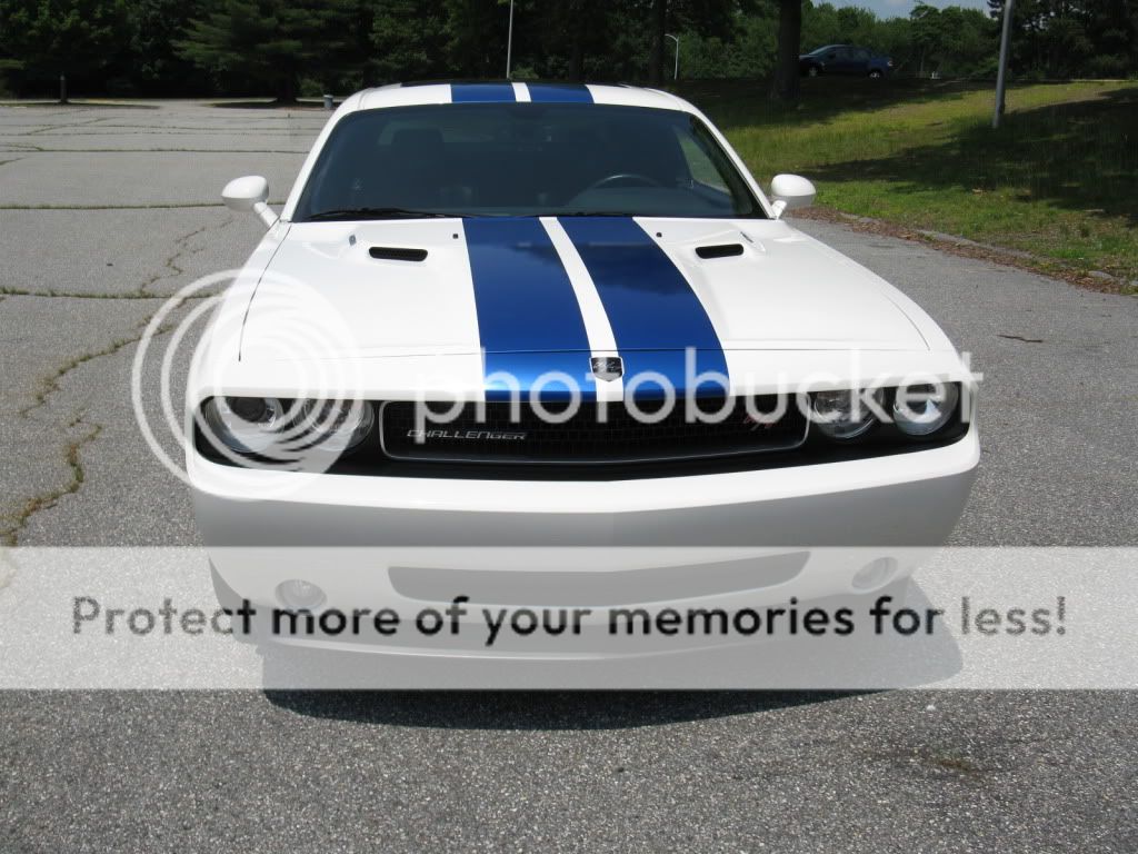 blue srt stripes | Dodge Challenger Forum