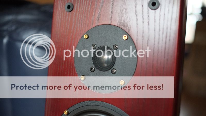 Ruark Talisman in cherry