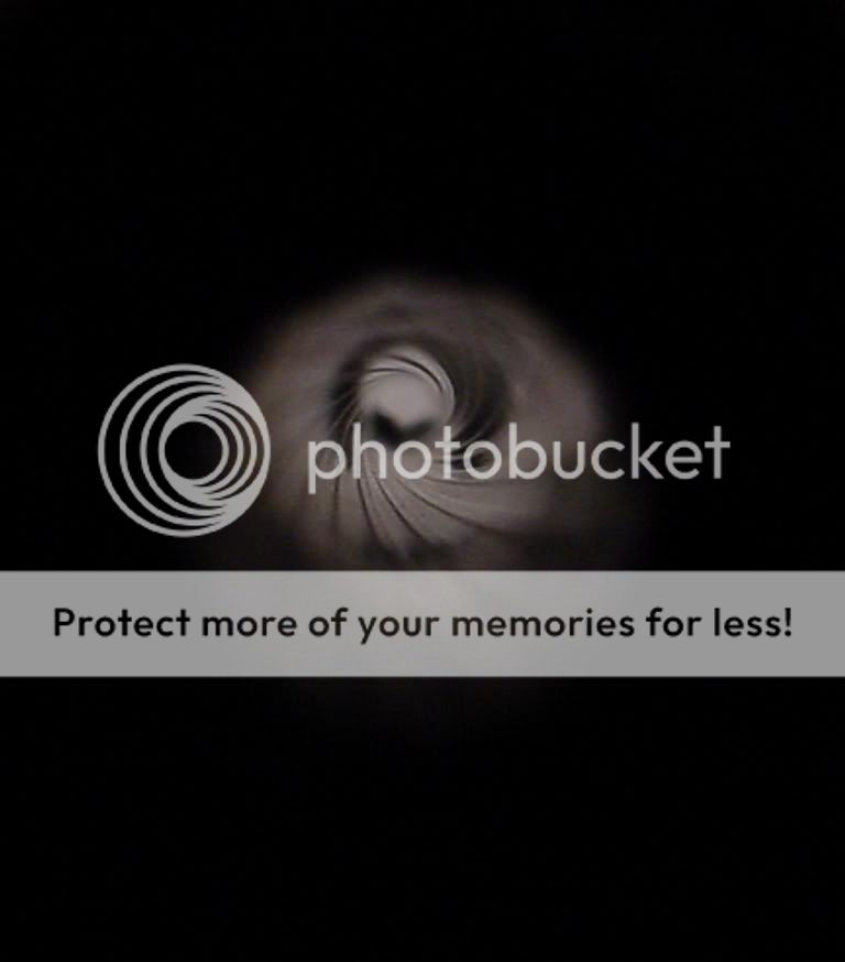 My First Avanti Daisy 777 - Canadian Airgun Forum